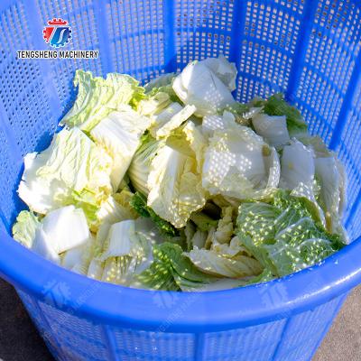 China Salad Fruits and vegetables dehydrator Lettuce Cao Xin Baby Cabbage Chinese Cabbage Cabbage Automaticial Dehydration Machine Dehydrator Dried  Centrifugal Drying Machine Automatic Water Spinner for sale