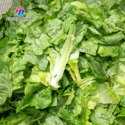 China Salad Fruits and vegetables dehydrator Lettuce Cao Xin Baby Cabbage Chinese Cabbage Cabbage Automaticial Dehydration Machine Dehydrator Dried  Centrifugal Drying Machine Automatic Water Spinner for sale