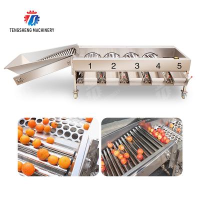 China Fruit Orange Vegetable Saiko persimmon lemon tangerine passion fruit avocado cherry Mango pear mangosteen kiwi fruit processing production Inspecting Grading sorting machine for sale