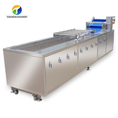 Cina linea di trasformazione classificazione di secchezza di pulizia completamente automatica della frutta 380V e di verdura in vendita