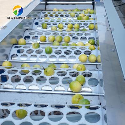 Cina linea di trasformazione classificazione di secchezza di pulizia completamente automatica della frutta 380V e di verdura in vendita
