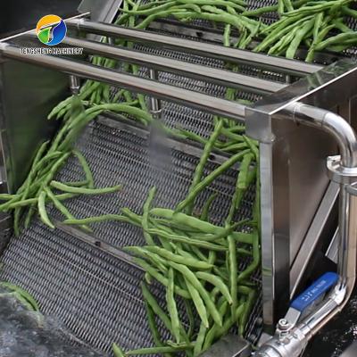 中国 装置を流出させる4.5KW果物と野菜の加工ライン振動 販売のため