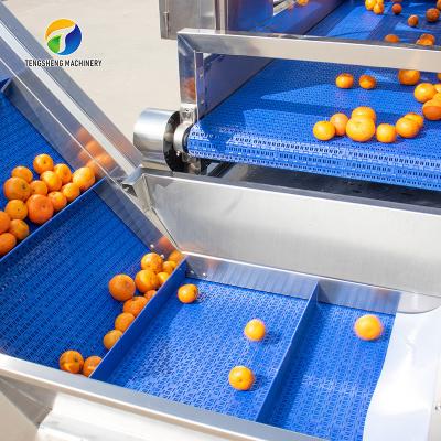 Cina Pulizia della bolla del frutto della passione e linea di produzione di separazione di secchezza in vendita