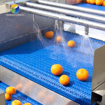 Cina Pulizia della bolla del frutto della passione e linea di produzione di separazione di secchezza in vendita