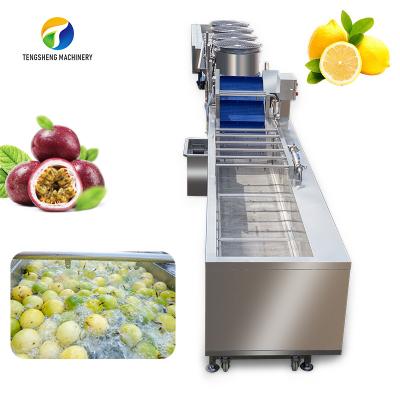 Cina linea di trasformazione classificazione di secchezza di pulizia completamente automatica della frutta 380V e di verdura in vendita
