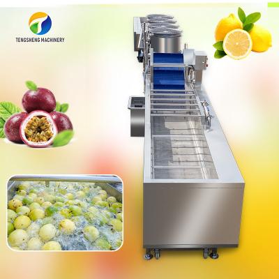 Cina Pulizia della bolla del frutto della passione e linea di produzione di separazione di secchezza in vendita