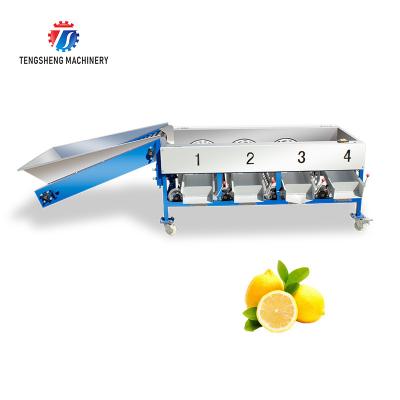 Chine Criblage du citron 280KG et trieuse d'acier inoxydable de machine d'évaluation de rouleau de fruit de fruit spécial de trieuse à vendre