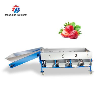 China Tipo automático del balanceo 280KG que transporta la máquina redonda de la investigación de la azufaifa del invierno del diámetro del rodillo del melón y de la fruta en venta