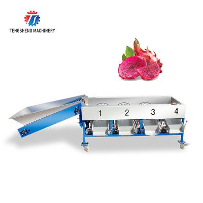 China Tipo automático del balanceo 280KG que transporta la máquina redonda de la investigación de la azufaifa del invierno del diámetro del rodillo del melón y de la fruta en venta