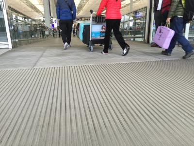 Cina Tappeto commerciale lucidato resistente 2.35mm dell'entrata dei tergicristalli di gomma in vendita
