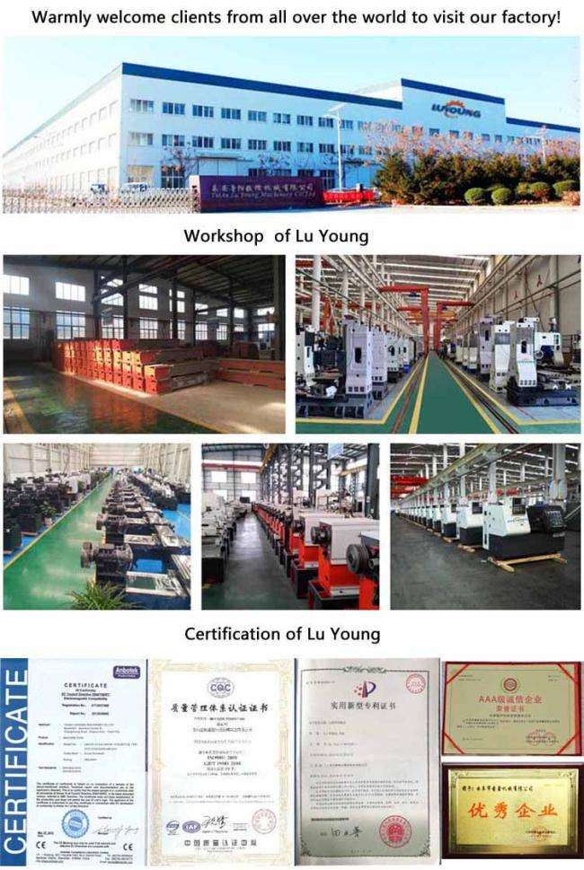Luyoung Machinery factory overview