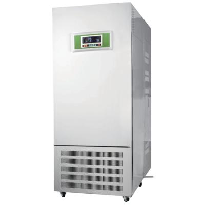 China Zetron LBI-CH-N Battery Test Integrated Chamber for Lithium Battery Testing for sale