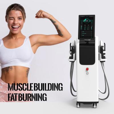 Cina SME certificato Ce che scolpisce il professionista automatico dello strumento del muscolo di bellezza di della macchina in vendita