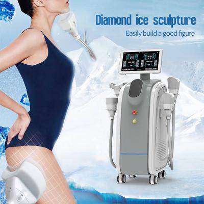 Cina Ce controfigura Chin Slimming della macchina di Cryolipolysis di 360 gradi intera in vendita