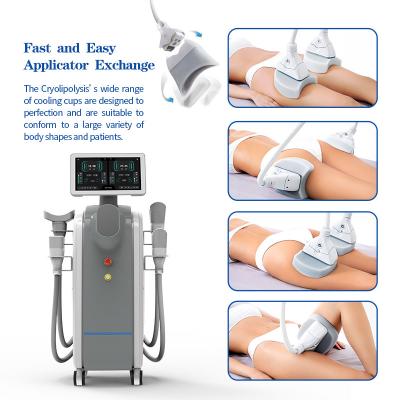 Cina Cool Body Sculpt Cryolipolysis Machine 360° Vaccum Cinque pezzi a mano in vendita