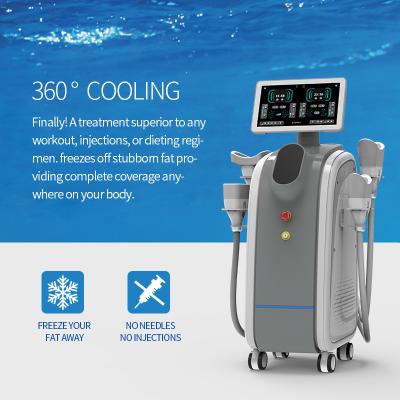 Cina Corpo di macchina grasso certificato Ce di congelamento di Cryolipolysis che contorna e che modella in vendita