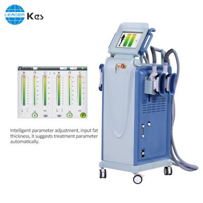 Cina Macchina di criolipolisi RF Cryolipolysis Vacuum Slimming Device in vendita