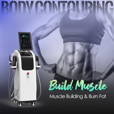 Cina EMS Targeted Muscle Development Machine 13 Tesla Alta energia in vendita