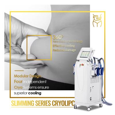 Cina Cryolipolysis Body Shaking Machine Rimozione della cellulite in vendita