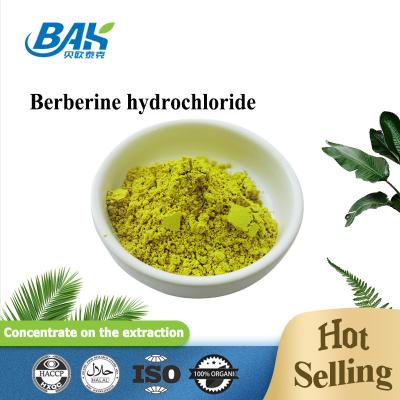 Cina CAS 141433-60-5 Ingredienti cosmetici naturali Polvere di cloridrato di berberina in vendita