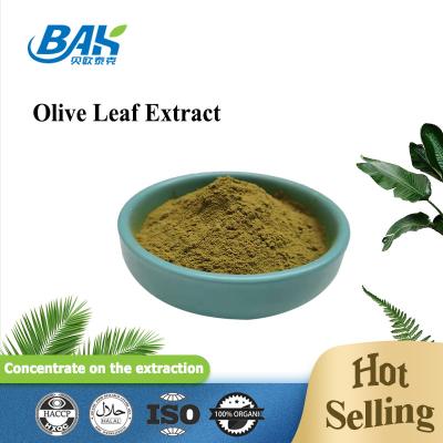 Cina Supplementi di miglioramento immuni Olive Leaf Extract dell'oleuropeina 10%-80% in vendita