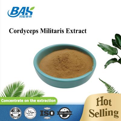 Cina BAK Supplementi di potenziamento immunitario Cordyceps Militaris Estratto 10%-50% Polisaccaridi in vendita