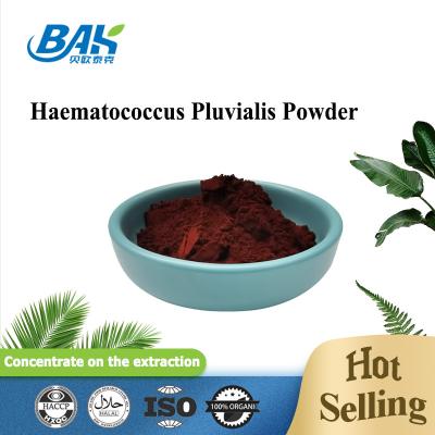 Cina Polvere antiossidante naturale pura dell'astaxantina della polvere del Pluvialis di Haematococcus in vendita