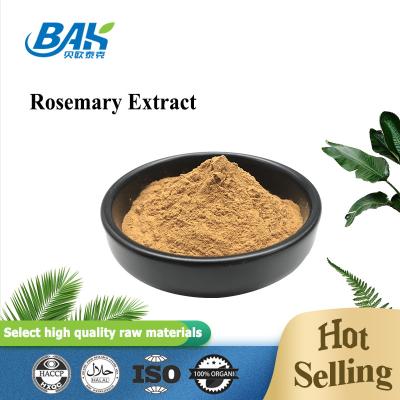 Cina supplementi di miglioramento immuni Rosemary Extract Powder Water Soluble di 98% - di 10% in vendita