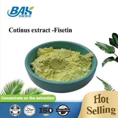 Cina Gli ingredienti cosmetici naturali Fisetin dell'estratto del Cotinus spolverizzano 10% - 98% in vendita