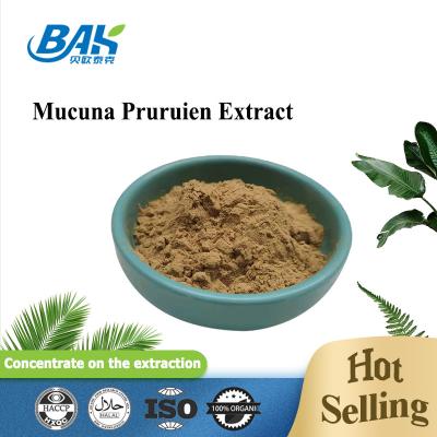 Cina 25% 98% Levodopa Additivi alimentari naturali Estratto di Mucuna Pruriens in vendita