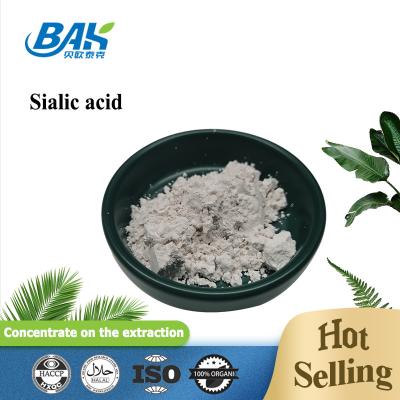 Cina Natural Cosmetic Ingredients Sialic Acid N-Acetylneuraminic Acid White Fine Powder in vendita
