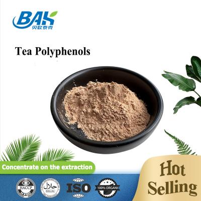 Китай Tea Polyphenol Powder 98% Green Tea Extract Natural Food Additives Antioxidant продается