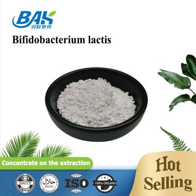 Cina Bifidobacterium Lactis Natural Food Additives Powder 100B / 200B CFU/G in vendita