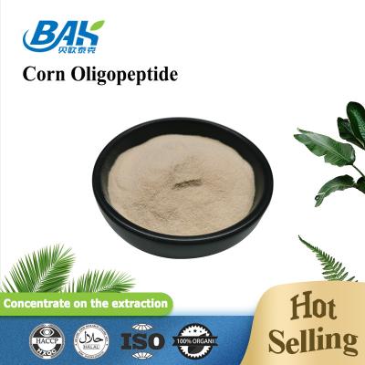 Cina 90% Peptide Protein Powder Food Grade Corn Oligopeptide Powder in vendita