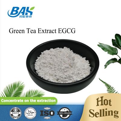 Cina Natural Cosmetic Ingredients Green Tea Extract 98% EGCG Powder in vendita