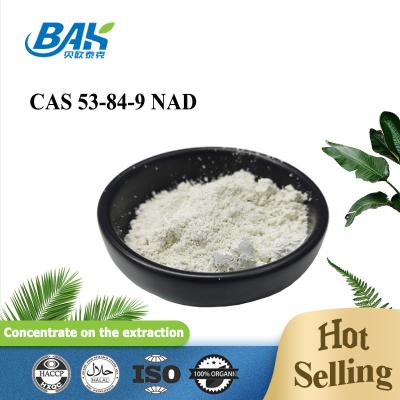 Cina Hot Sale CAS 53-84-9 Reduced Nicotinamide Adenine Dinucleotide NAD in vendita