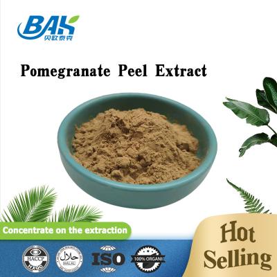 Cina Natural Cosmetic Ingredients Pomegranate Peel Extract Punicalagin in vendita