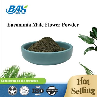 Cina Polvere maschio ISO9001 di verde di Brown del fiore di Eucommia di supplemento della salute degli uomini di BAK in vendita