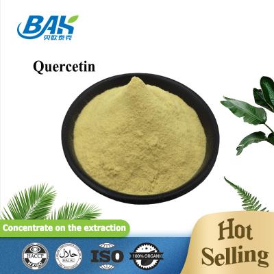Cina Il sophora japonica L supplemento della protezione del fegato della quercetina spolverizza 10%-95% in vendita