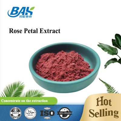 Cina Bulk Antioxidant Natural Food Additives Pure Rose Extract Powder in vendita