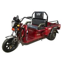 Quality 501-800W Electric Motor Adults Van Cargo Tricycle with 48v20Ah Battery at Best for sale