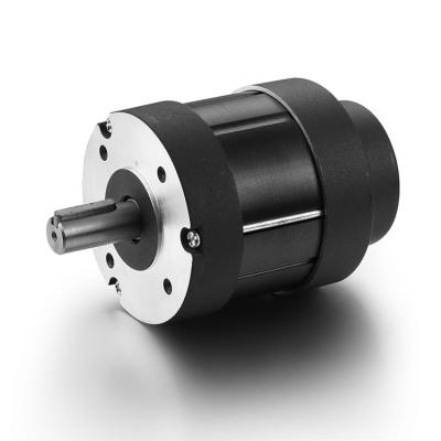 Cina Faradyi ha personalizzato motori senza spazzola di volt 1000w 3000rpm di Bldc di alta coppia di torsione di alto potere di CC di alta qualità i 24 in vendita