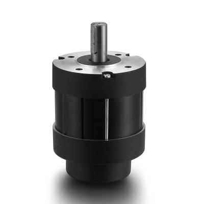 Cina IE a magnete permanente 4 PMSM del servo Bldc di CC di Faradyi del motore motore senza spazzola su ordinazione sincrono di alta qualità 12V 24V 72V 42BLS 50 N.m in vendita