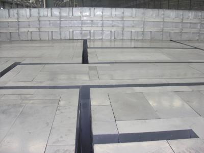 Chine Réduction des émissions à faible teneur en carbone de anodisation de profil industriel en aluminium argenté à vendre