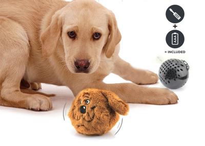 Cina 20 - il cane popolare automatico di salto di rimbalzo/squittio del giocattolo del cane di lunghezza di 25cm gioca in vendita