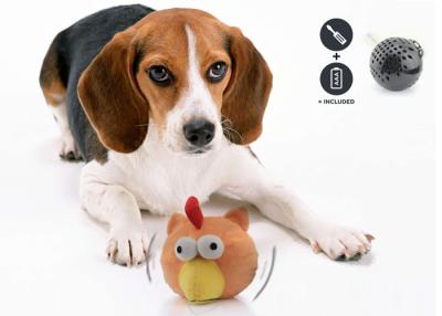 Cina Il cane piccolo di salto dell'interno gioca il materiale di plastica amichevole dell'ABS di Eco per l'esercizio del cucciolo in vendita