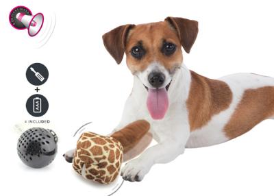 Cina I giocattoli elettronici del cane di moto della sicurezza, giocattoli interattivi del cucciolo per impediscono la noia in vendita