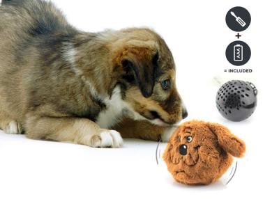 Cina Sicurezza di salto del giocattolo del cane di multi colore non tossica/inodore per inseguire in vendita
