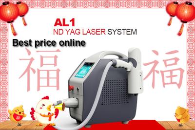 Cina ND commutato Q 532 attrezzatura di bellezza di cura di pelle di rimozione di Tatoo di colore del laser di 1064 YAG in vendita