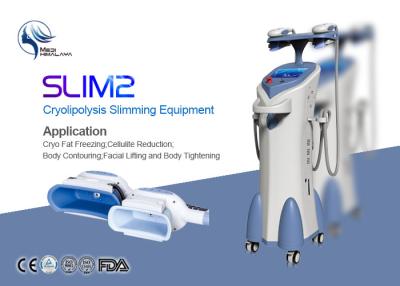 Cina Gelata grassa Cryolipolysis di forma fresca che dimagrisce macchina con la cavitazione/dimagramento corpo intero/di rf in vendita